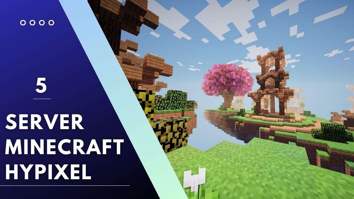 Most popular Minecraft servers with a large player base
