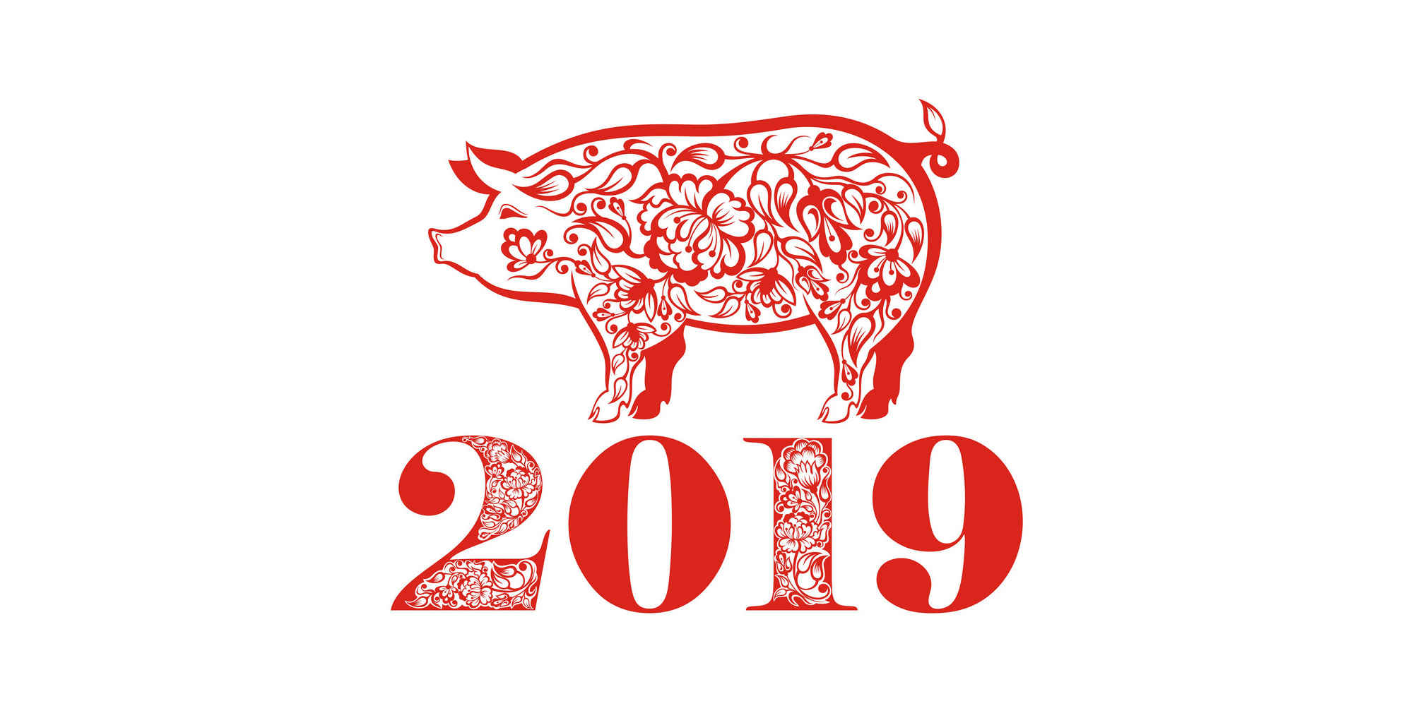 Born in 2019, what destiny awaits? What color suits? Unveil the ...