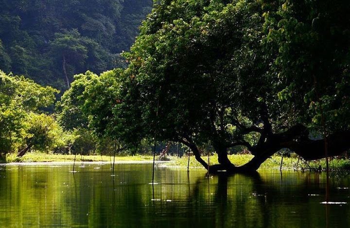 Top 14 Places You Must Visit in Bac Kan for a Meaningful Trip - Mytour.vn
