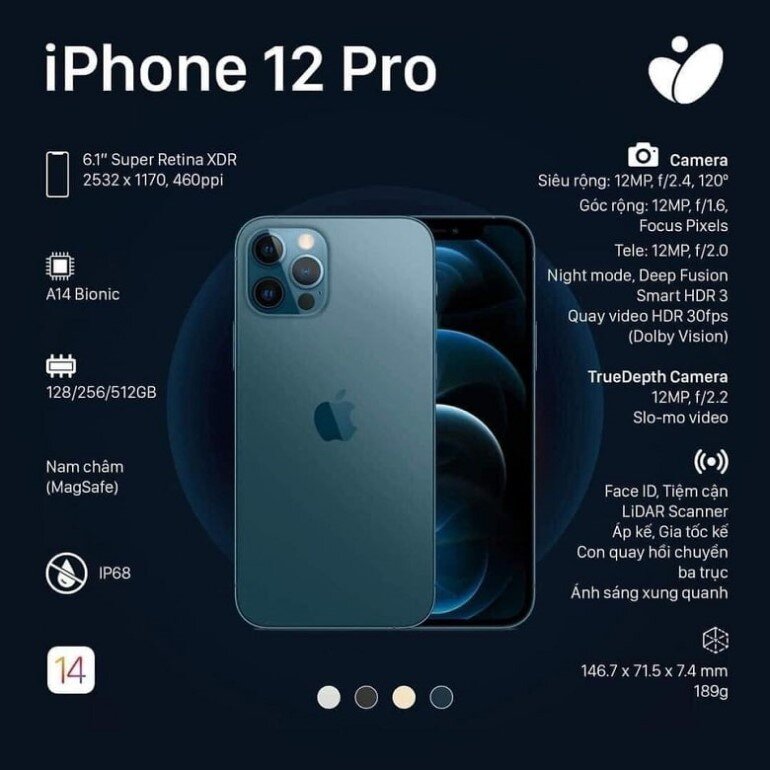 What are the dimensions of the iPhone 12 Pro? Discover the latest ...
