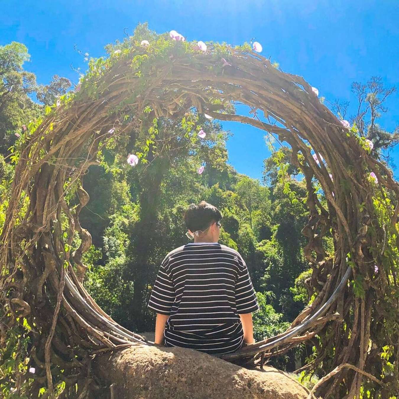 Top 15 enchanting landscapes that captivate visitors in Da Lat