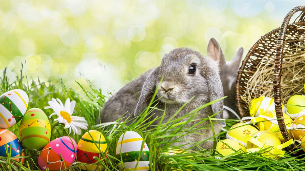 When is Easter 2023? Origin and Meaning