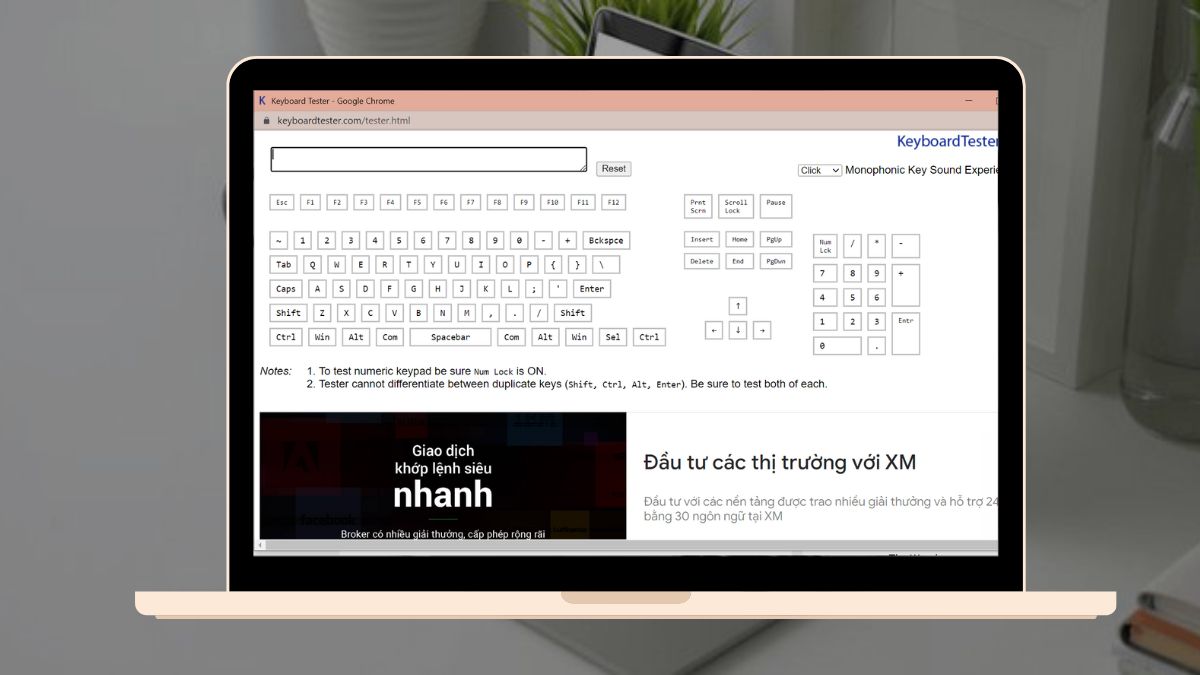 Discover the Top 8 Online Keyboard Tester Websites for Laptops and ...