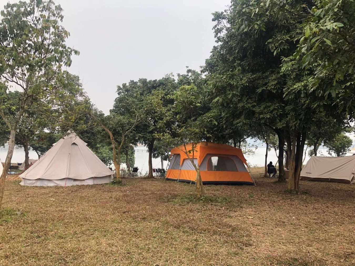 Discover the charm of Dong Mo tourist area - A captivating weekend ...