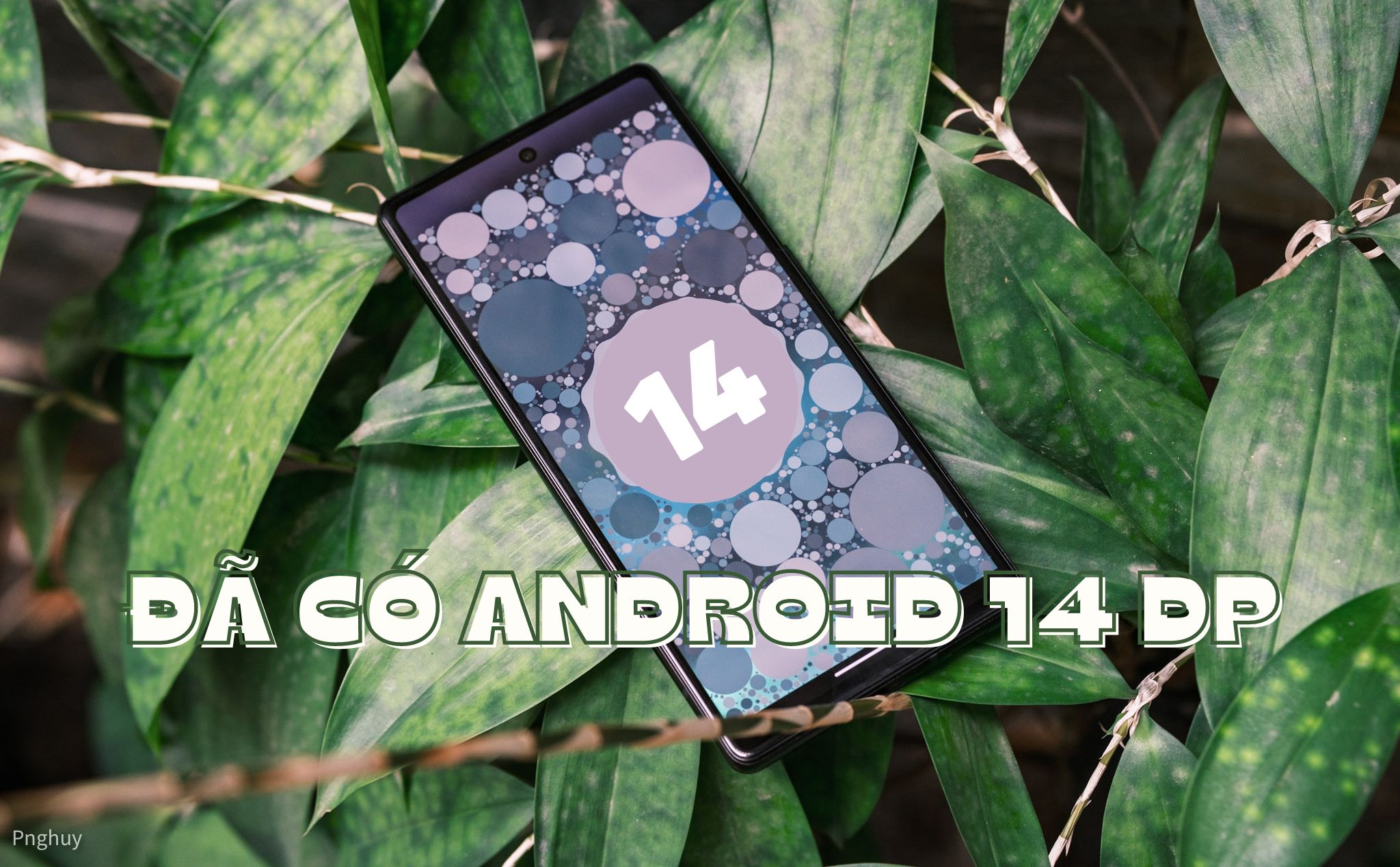Cách cài đặt Android 14 Developer Preview 1 cho điện thoại Pixel