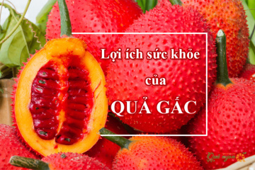 Discover the 7 Amazing Benefits of Gac Fruit for Health and Skin - Mytour