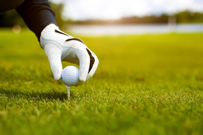 All You Need to Know About Golf Tees - Mytour