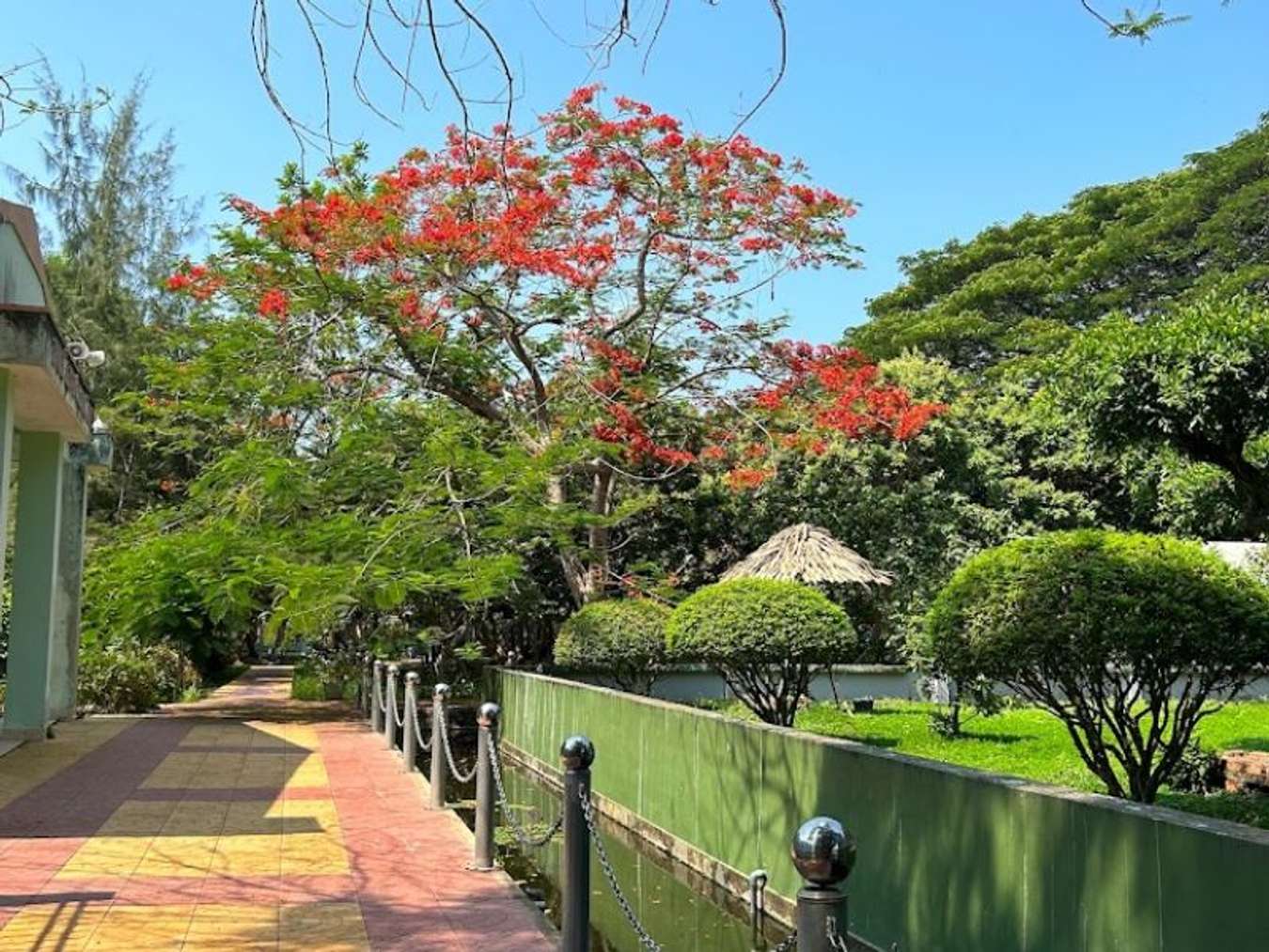 Explore Dong Tam Snake Farm in Tien Giang