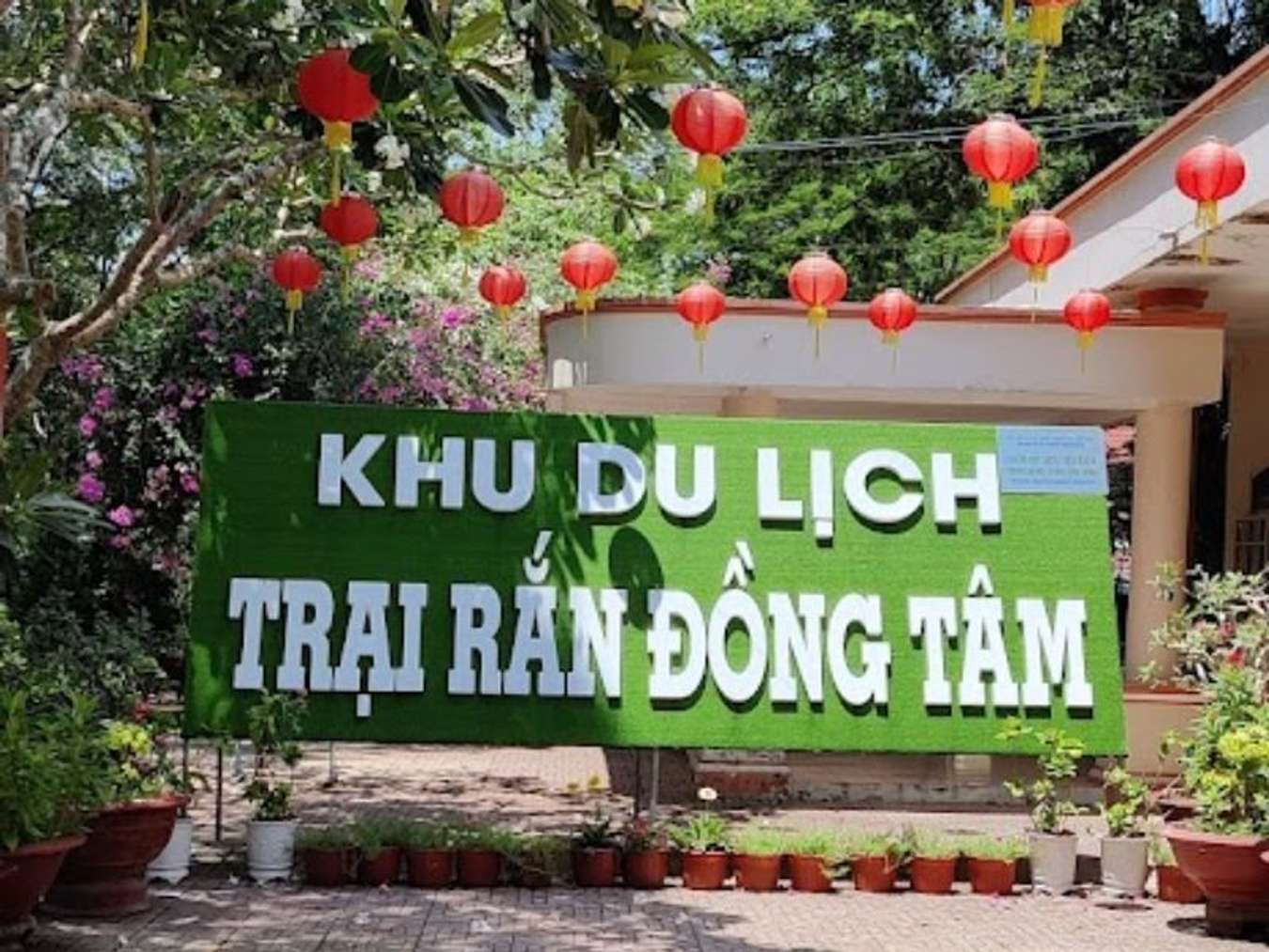 Explore Dong Tam Snake Farm in Tien Giang