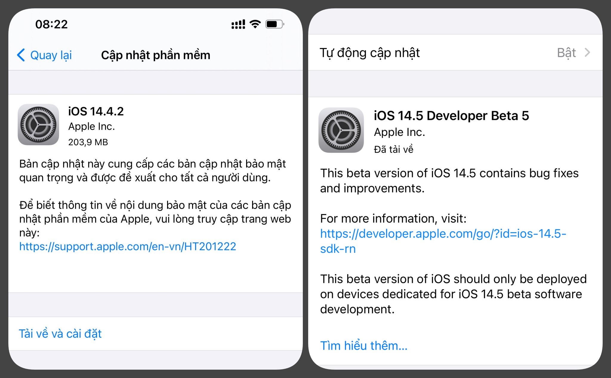 Apple ra mắt bản cập nhật: iOS 14.4.2 và iOS 14.5 phiên bản thử nghiệm beta 5