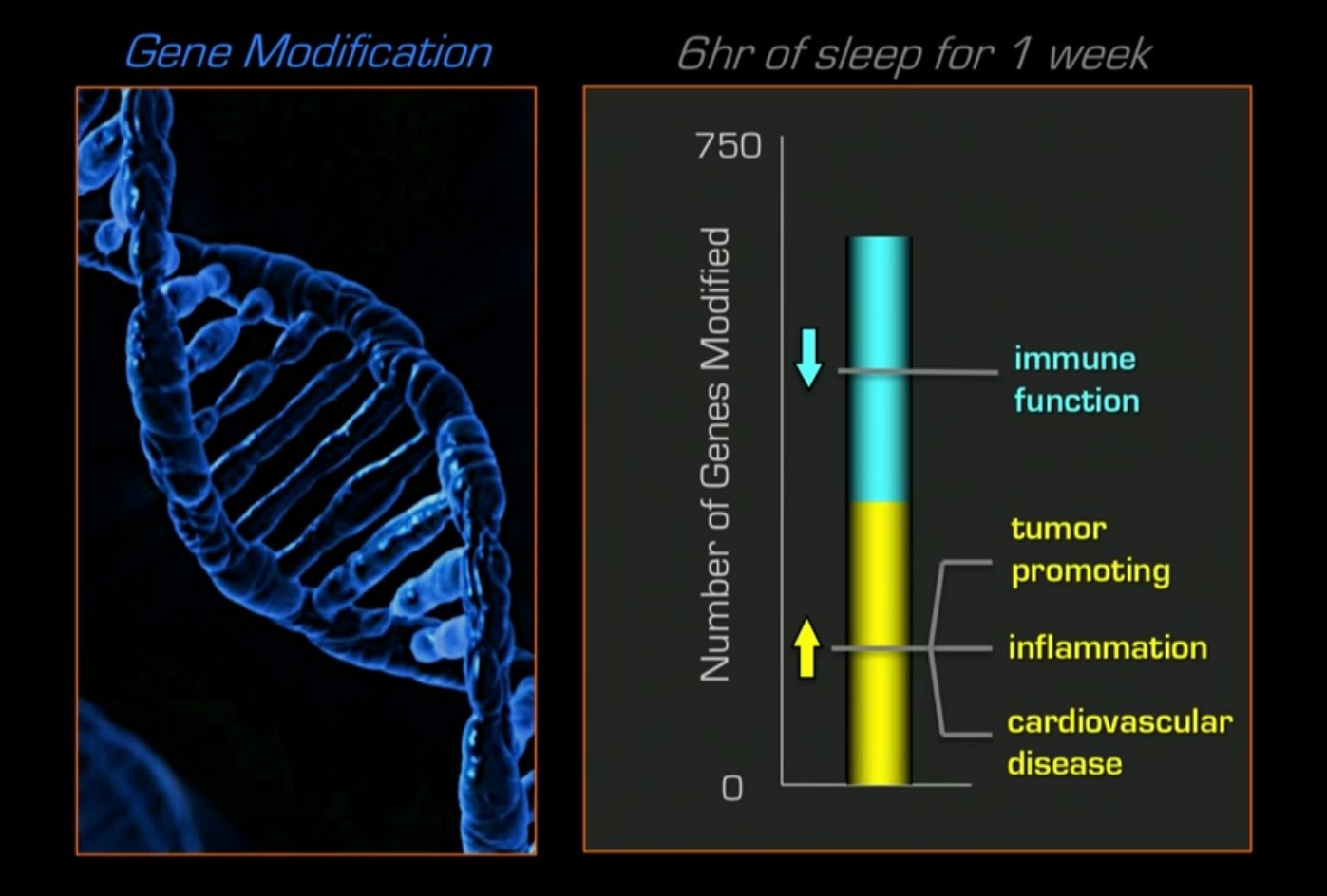 The intricate dance between sleep and immune function, nervous system ...