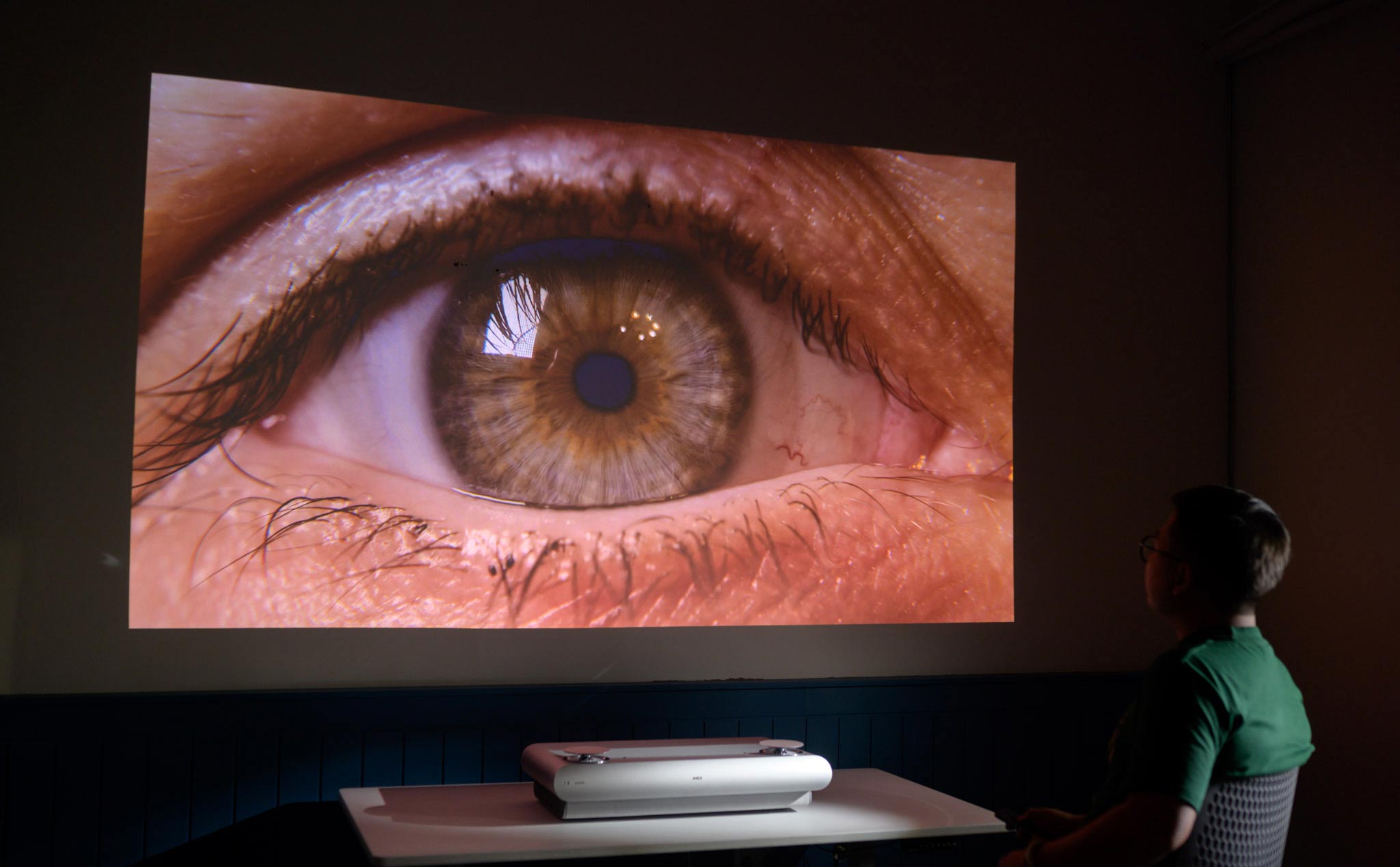 Do you guys use projectors instead of TVs? | Written by The Fox's Den