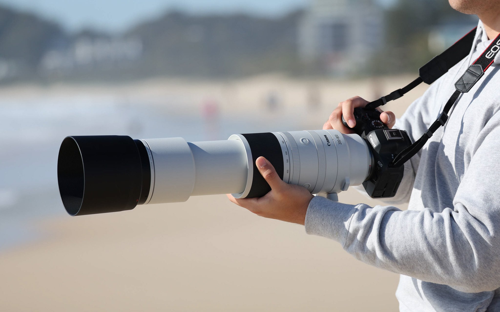 Introducing the Canon RF 200-800mm f/6.3-9 IS USM: Tempting Price at ...