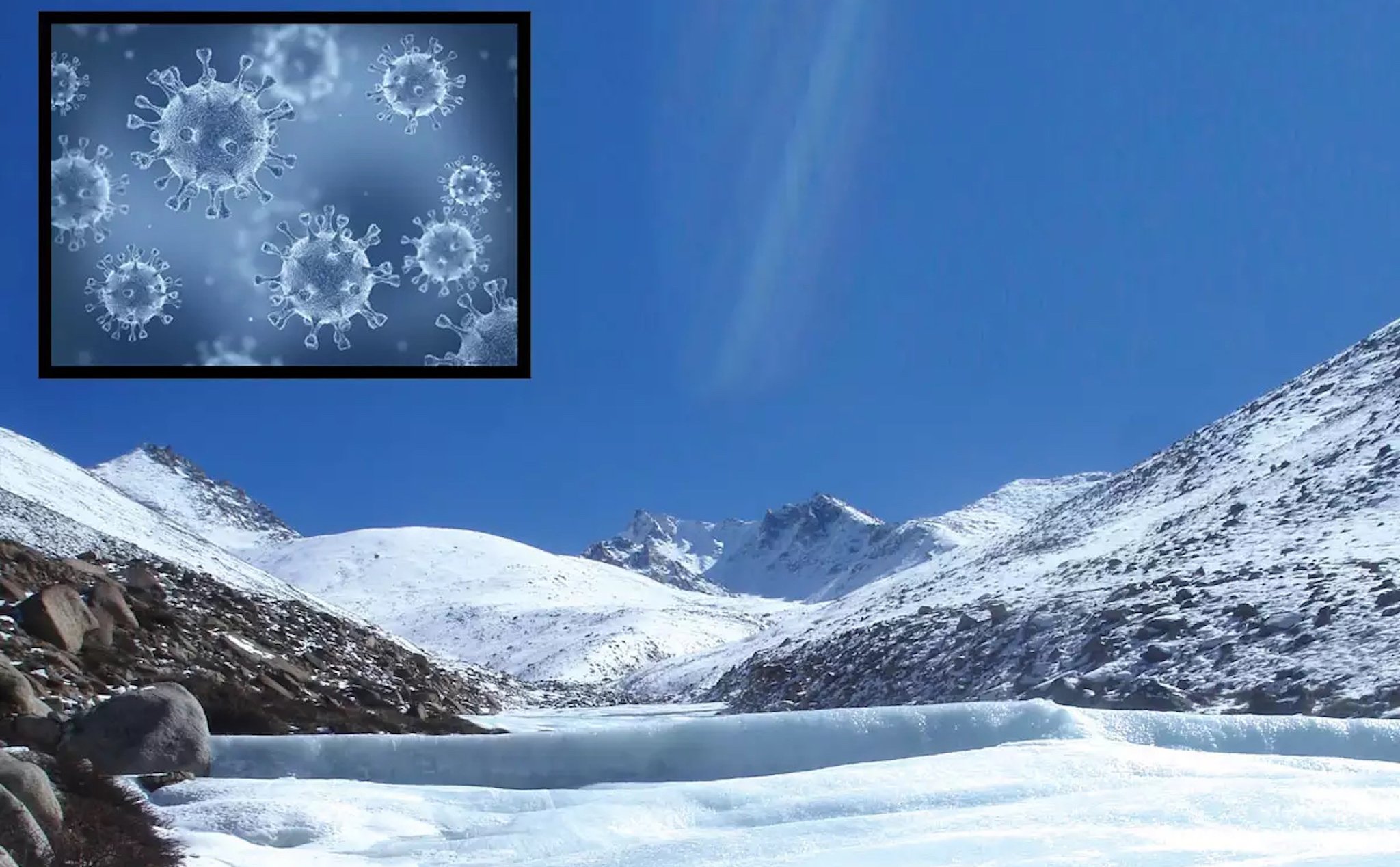 Discovery of over 30 ancient viruses in a glacier in the Tibetan ...