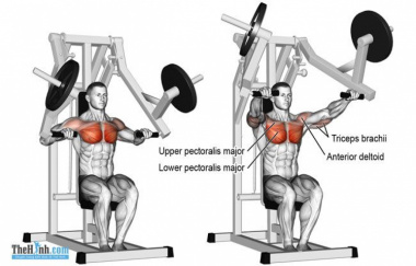 Optimal Mid-Chest Workout for Men: Mastering the Machine Press - Mytour