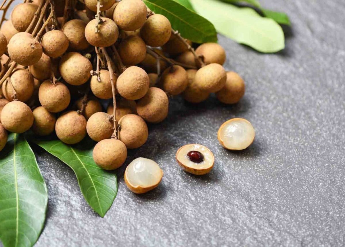 Is Longan Fattening? Unveiling the Marvelous Benefits of Longans | Mytour