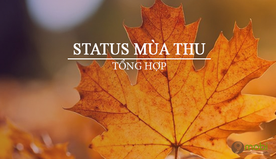 1. The Best and Sweetest Autumn Statuses
