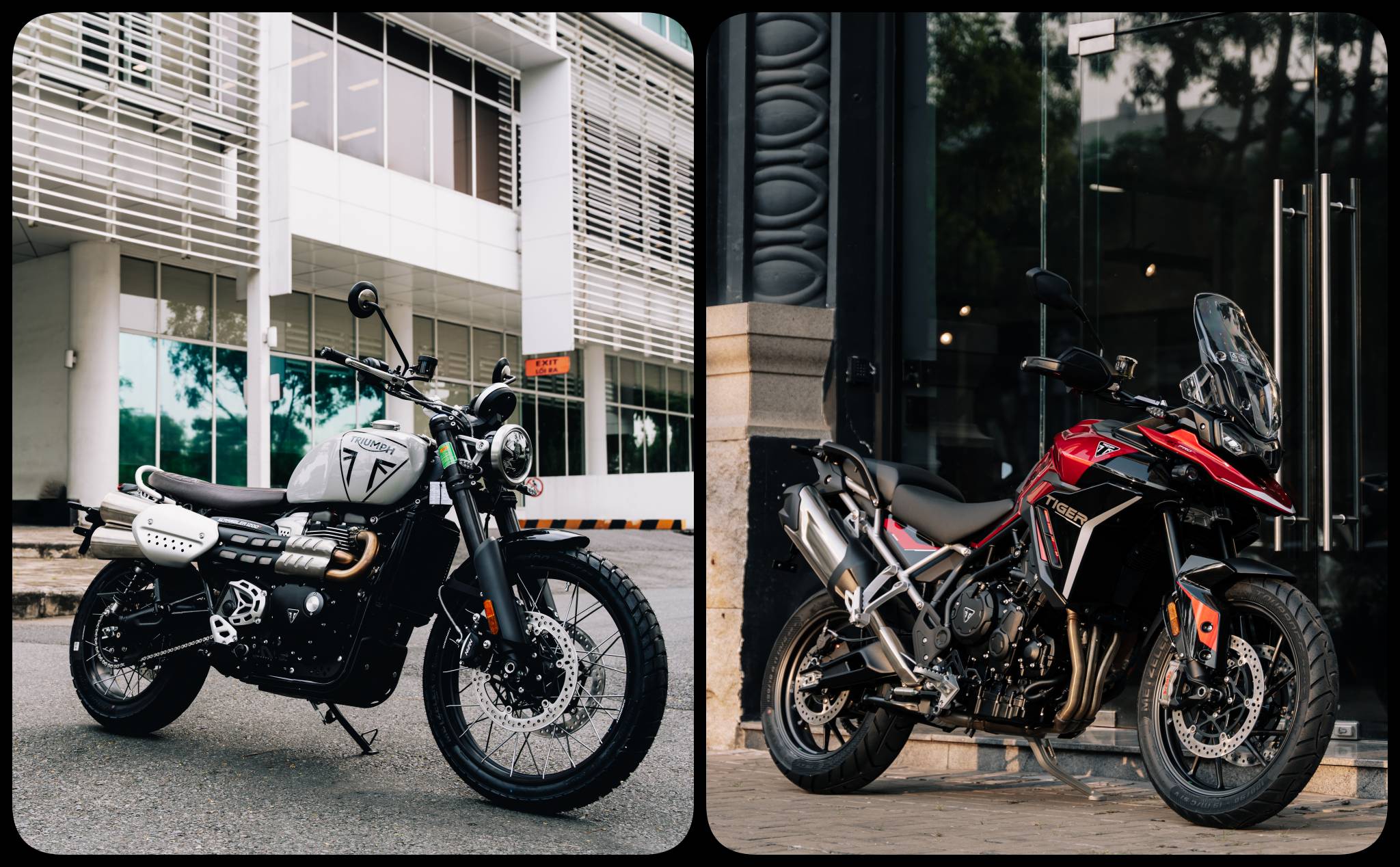 Triumph Tiger 900 và Scrambler 1200 X phiên bản mới ra mắt tại Việt Nam ...