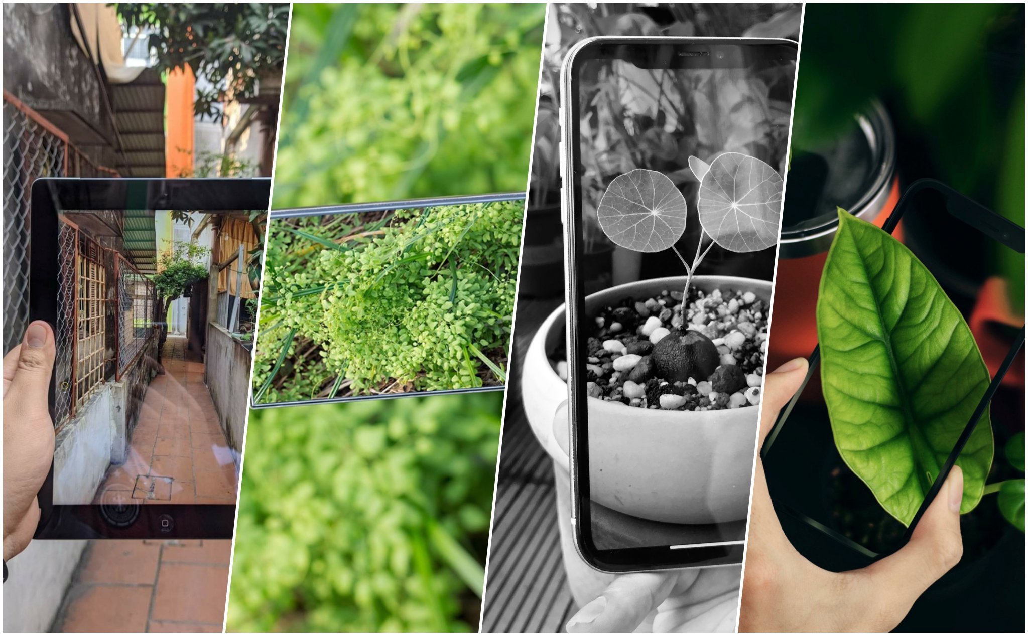 Translucent imaging test results