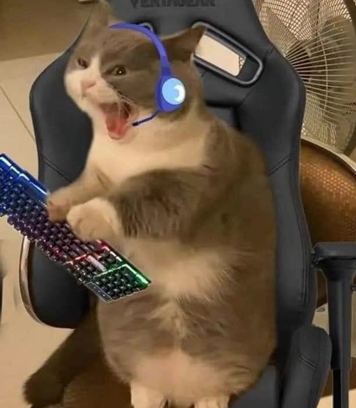 Compilation of Wacky and Hilarious Couple Avatars