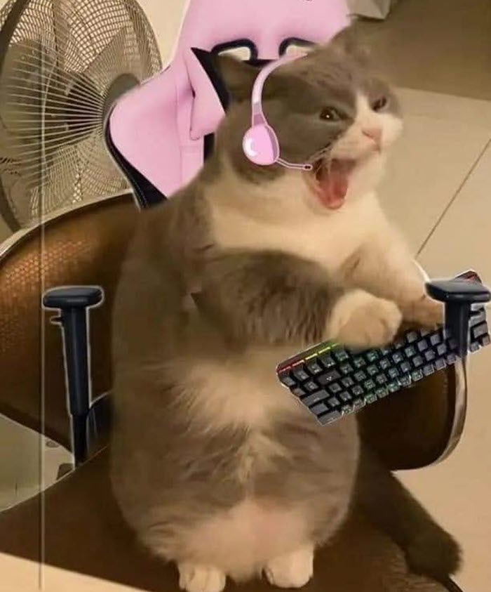 Compilation of Wacky and Hilarious Couple Avatars