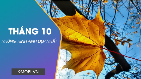 Beautiful October Images: Covers, Wallpapers, and Welcoming Backgrounds