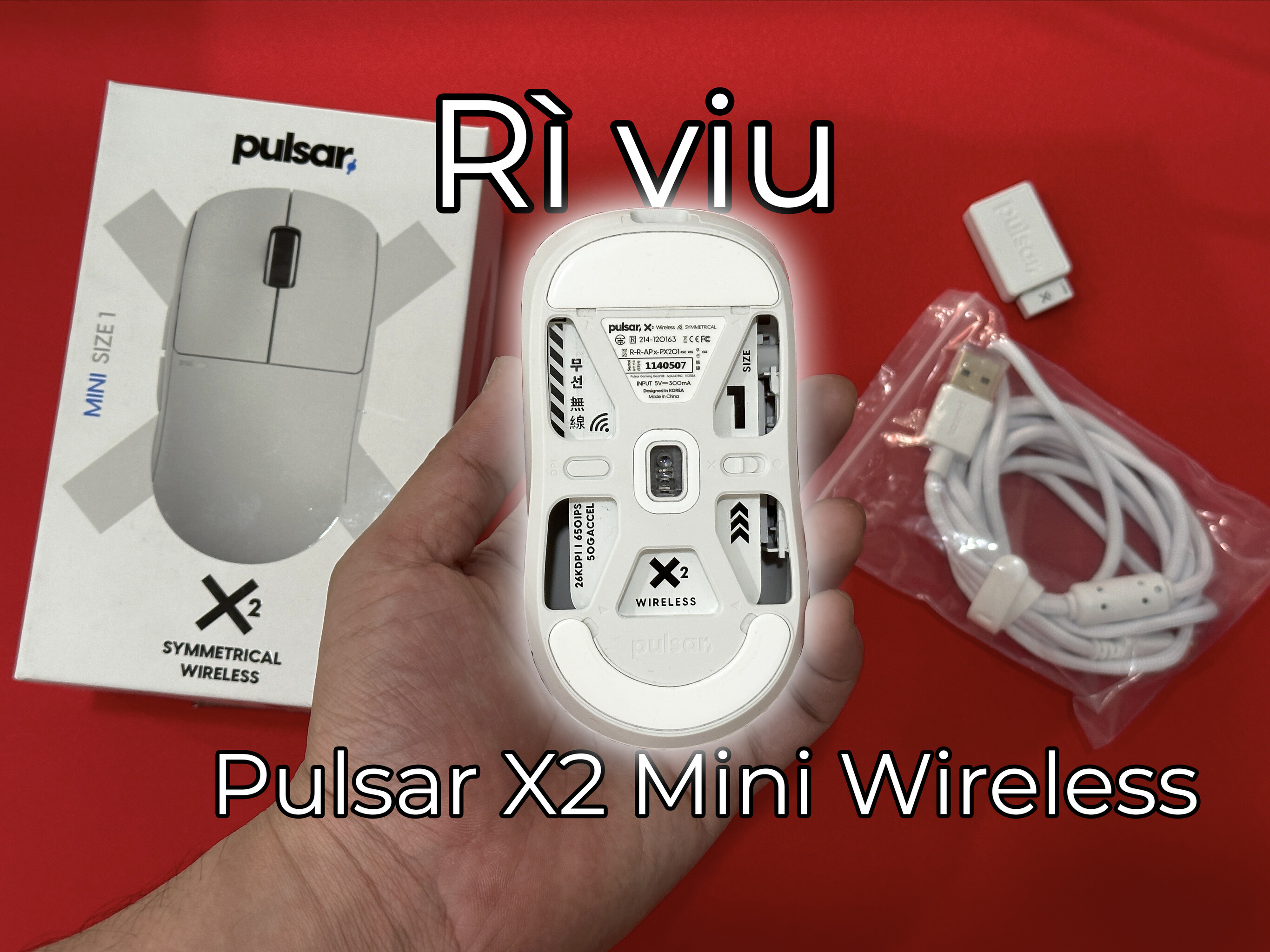 Đánh giá sau một tháng sử dụng Pulsar X2 Mini Wireless - Tuyệt vời? Hay ...