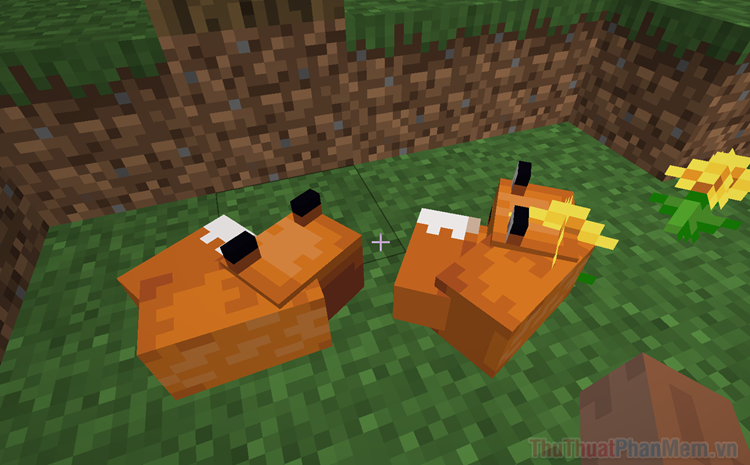 Taming Animals in Minecraft