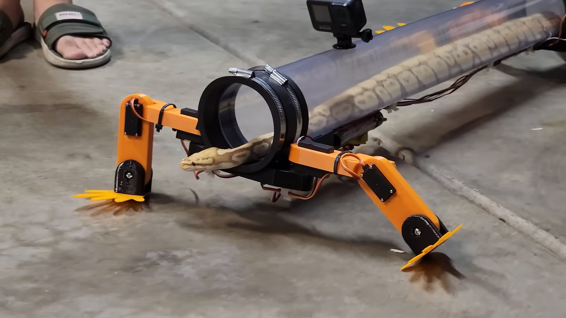[Video] Crafting Robotic Legs for Snakes to Slither Like Komodo Dragons ...