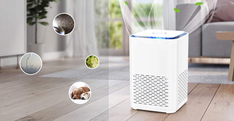 Are Air Purifiers and Dehumidifiers Worth It? Which Type to Buy?