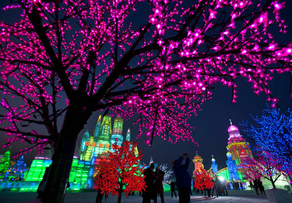 Explore the world through the most captivating festivals happening in ...