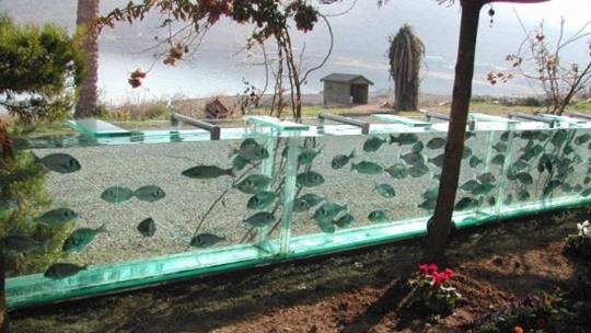 Aquarium Fence Housing 1000 Varieties of Fish