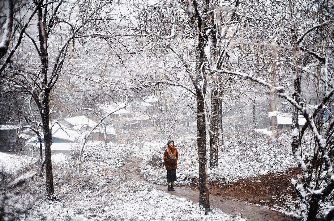 Immerse in the mesmerizing beauty of snowfall in Sapa 2021 - Vntrip.vn