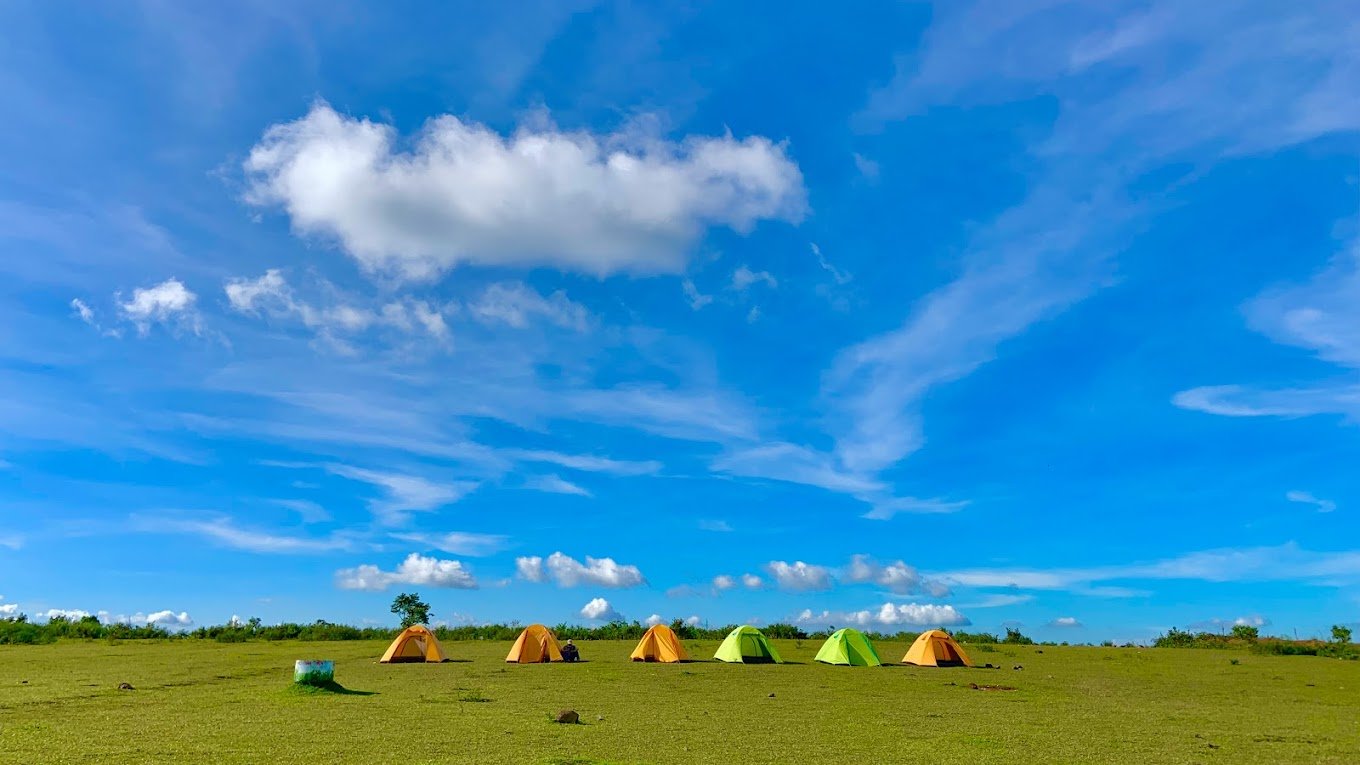 Bui Hui Plateau - An ideal 'camping in the clouds' spot in Quang Ngai ...
