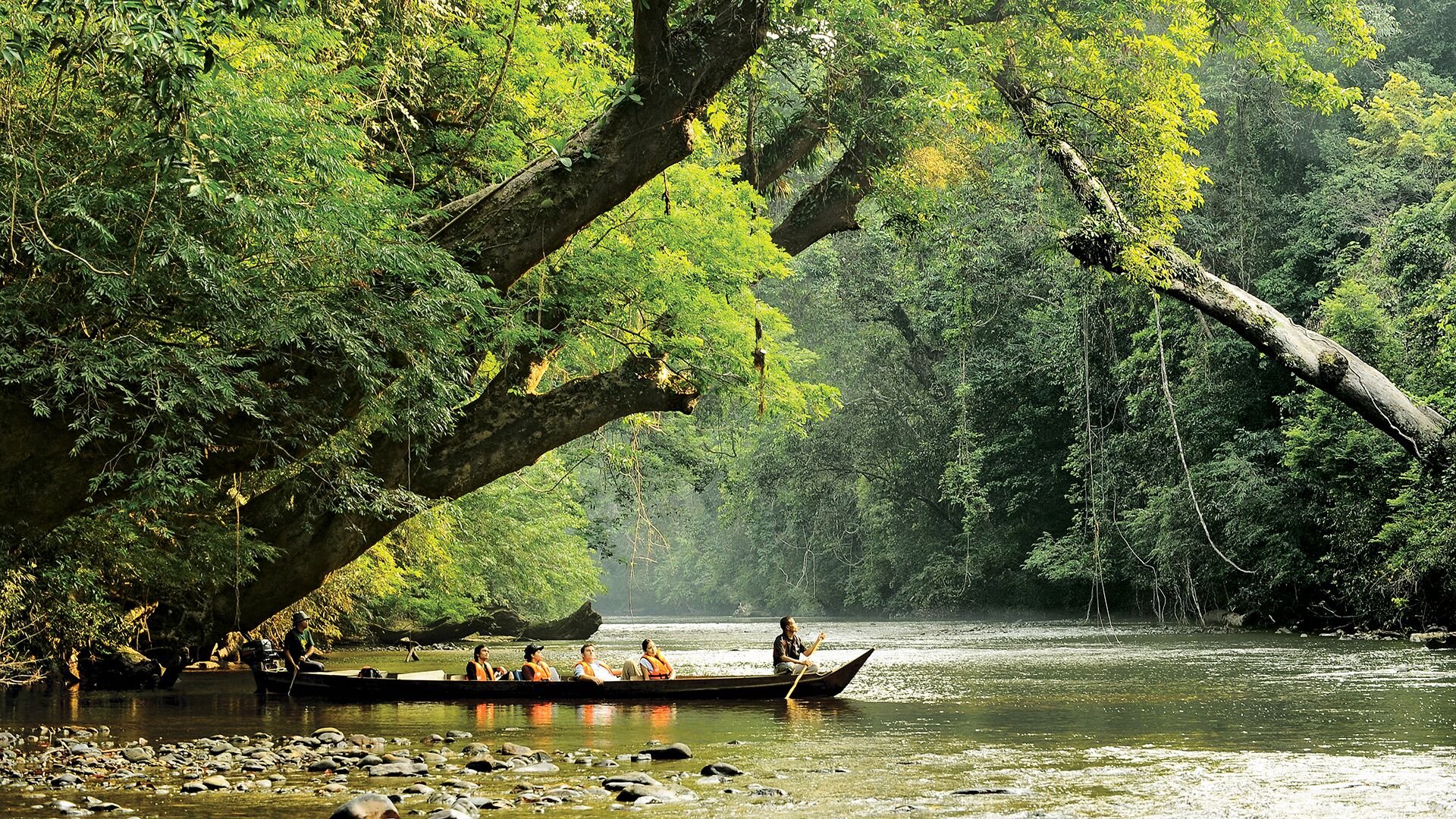 Exploring the Ancient Taman Negara National Park in Malaysia - Mytour
