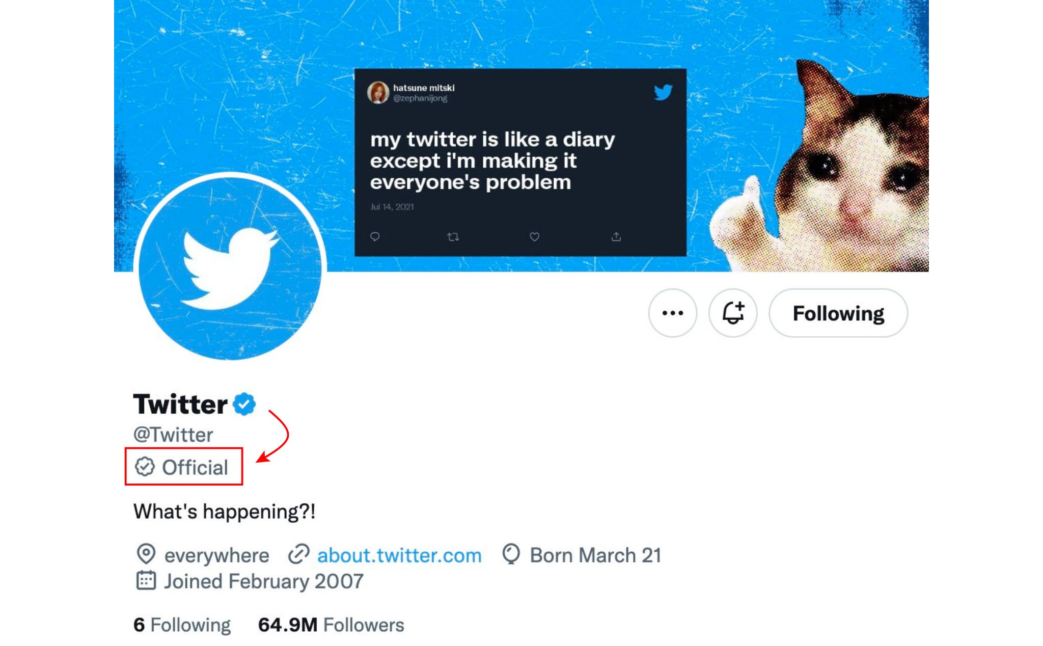 Twitter sẽ thêm 'tick xanh lá cây chính thức' để phân biệt với các tài ...