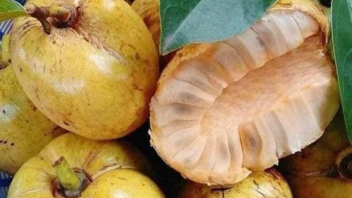 Bát Gourd: A Taste of Mekong Delta's Childhood - Mytour