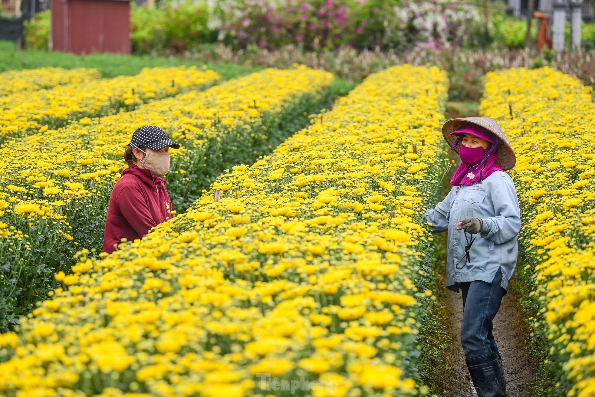 Mê Linh Flower Village – A Blooming Hub for Tet in the Capital