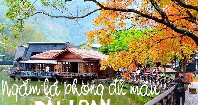 Admire the Spectacular Colors of Maple Leaves in Taiwan - Klook Travel Blog