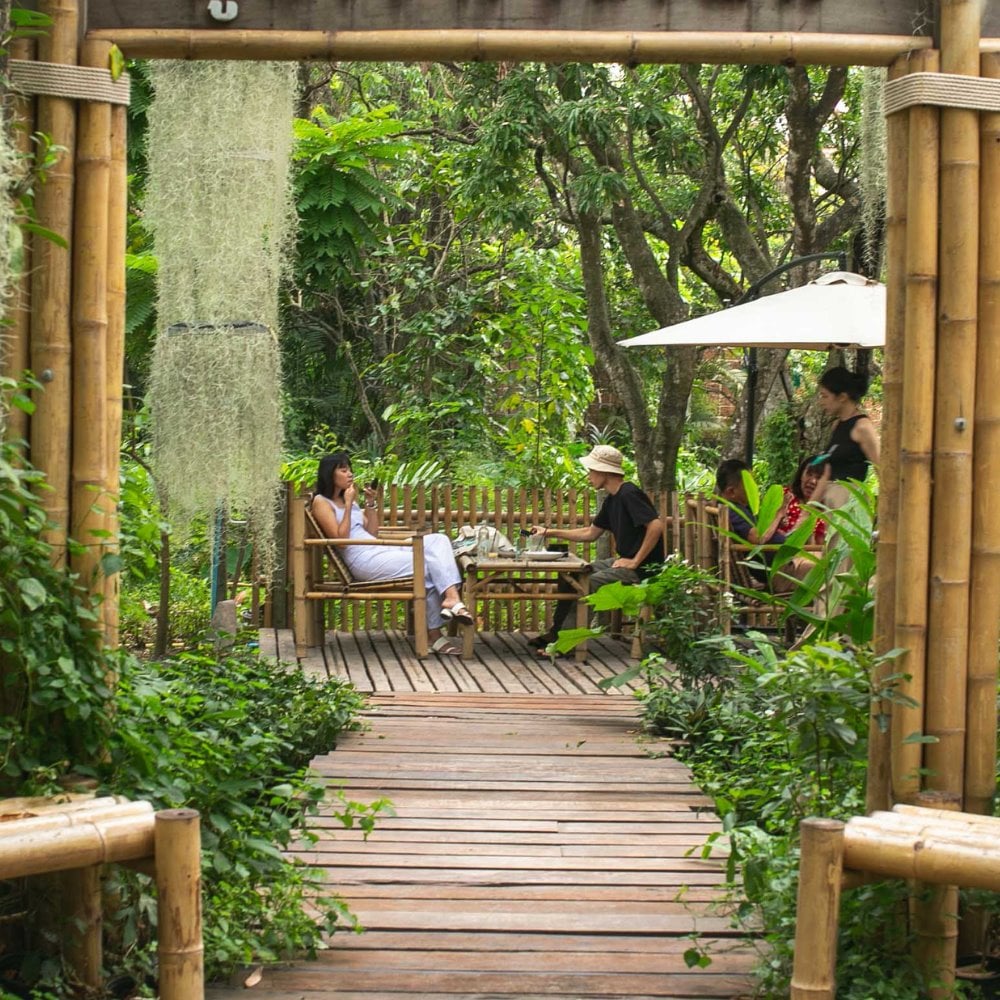 Natura Café, a mesmerizing tropical forest coffee shop in Bangkok - Mytour
