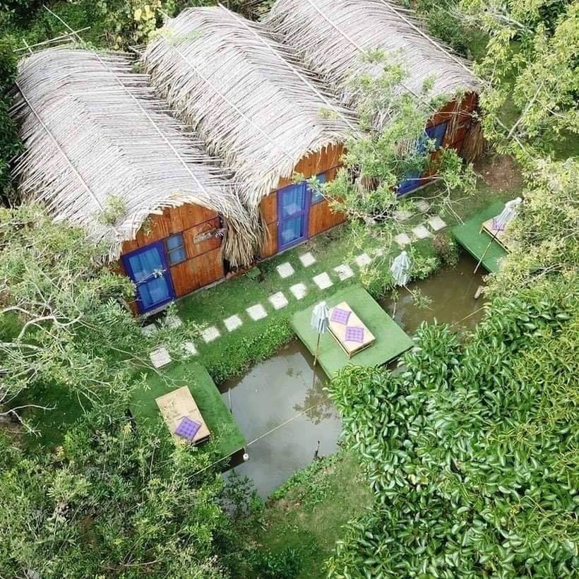 Discover the Top 19 Countryside Homestays in the Mekong Delta - Mytour