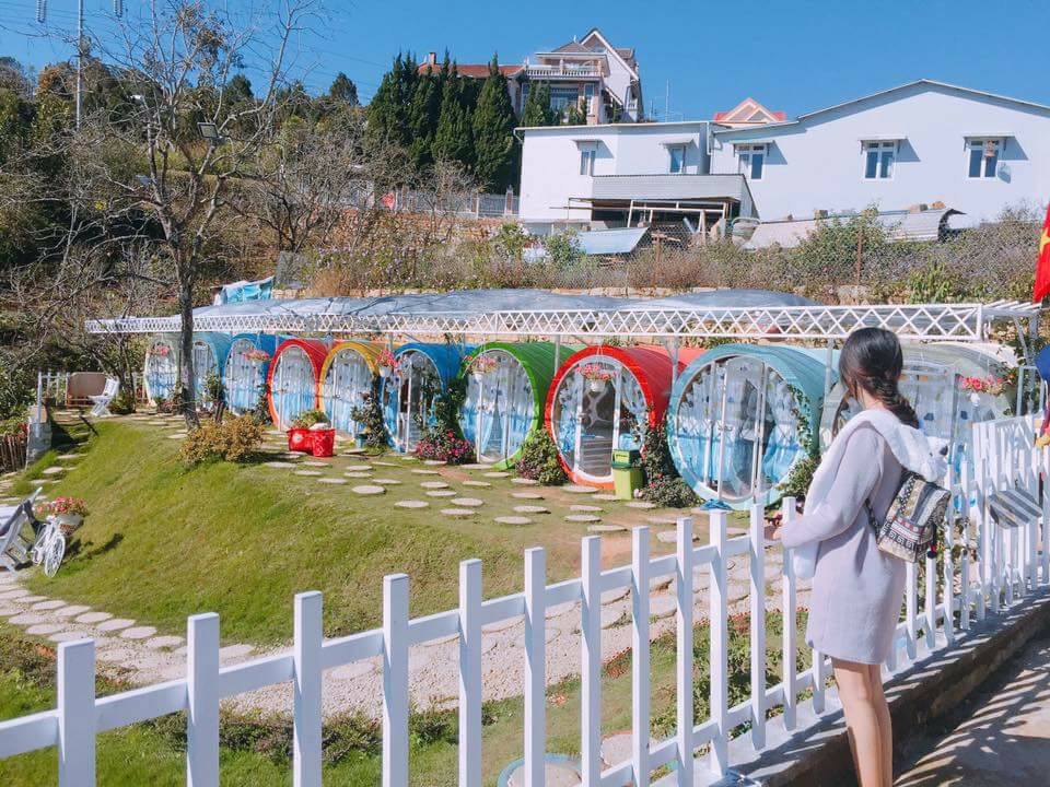 Discover the Enchanting Charm of Cartoon-themed Homestays in Da Lat ...