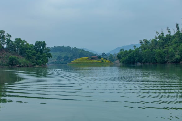 Experience the Beauty of Spring on Flower Island, Nui Coc Lake - Mytour