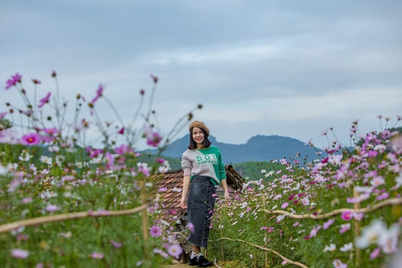 Experience the Beauty of Spring on Flower Island, Nui Coc Lake - Mytour