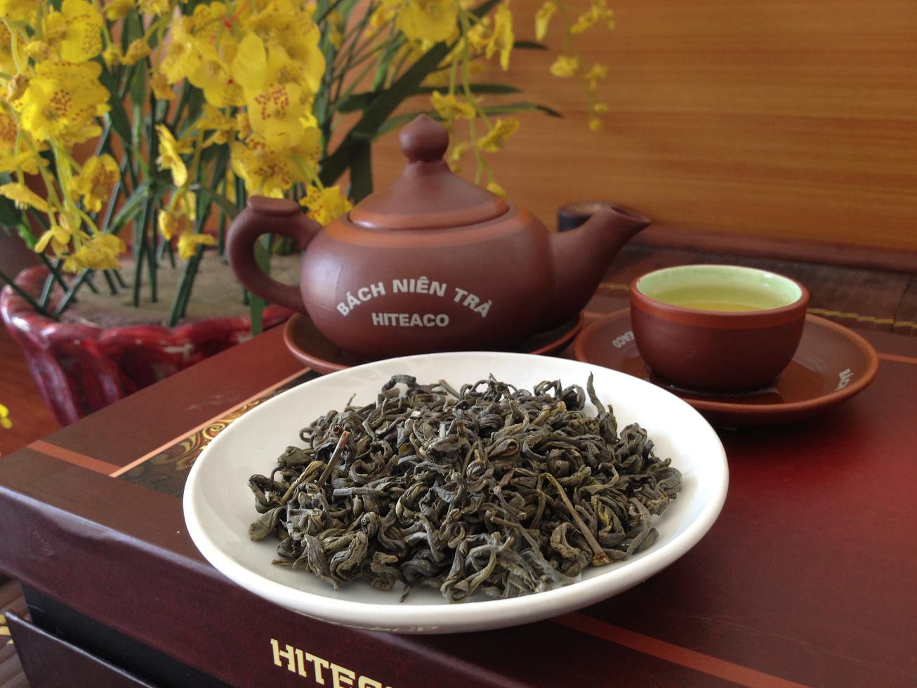 Explore the Majesty of Shan Snow Tea on Your Northwest Adventure