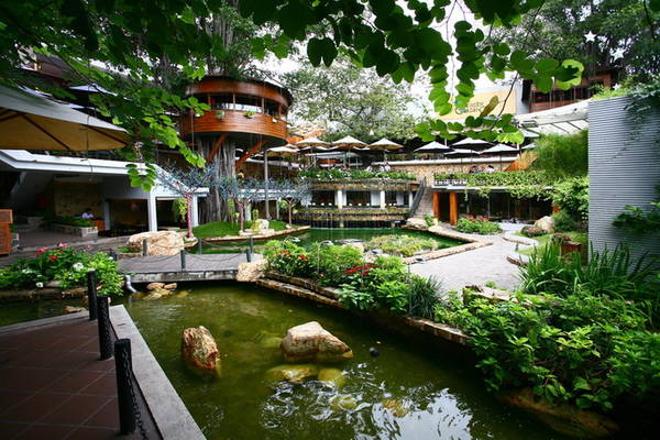 Café under the shade of ancient trees in Saigon - Mytour