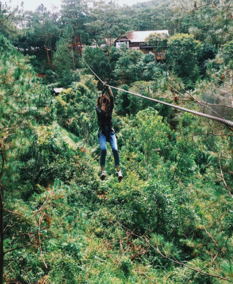 Explore the dense forest of Datanla High Rope Course during your visit ...