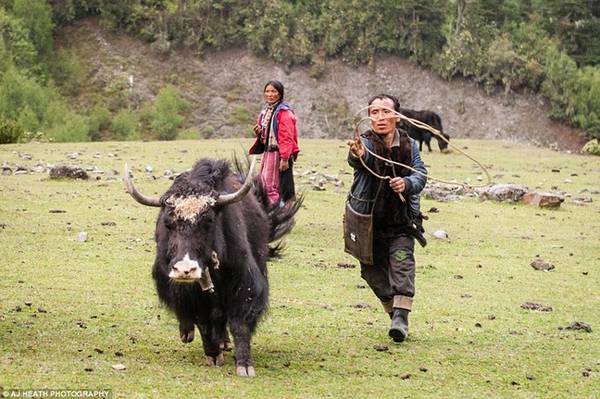 Explore the Charm of Bhutan by Visiting the Resilient Ancient Tribes ...