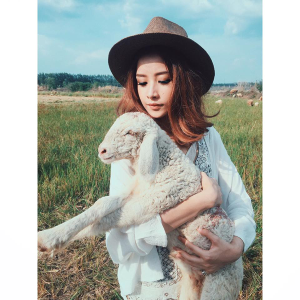 3 Stunning Sheep Fields in Vietnam - Mytour