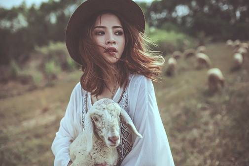 3 Stunning Sheep Fields in Vietnam - Mytour